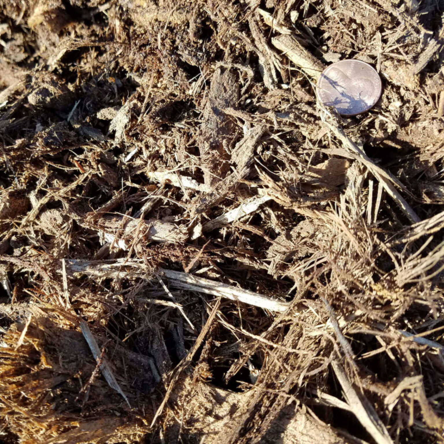 Natural Mulch | Order Online | Earthscape Landscaping